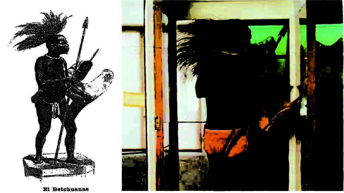 Historia del africano que fue disecado y expuesto como un animal en un ...